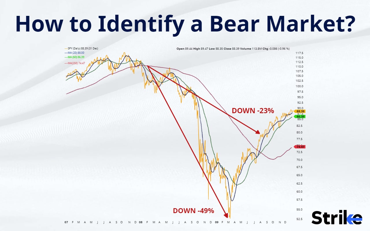 Bear Market: Definition, Types & Investment Strategies