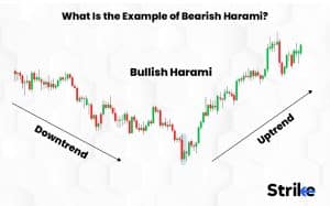 Bearish Harami: Definition, Example and What it Indicates?