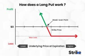 Long Put: Definition, How It Works, Importance, and Trading