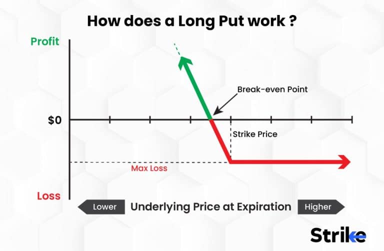 Long Put: Definition, How It Works, Importance, and Trading