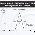 Long Put Butterfly: Definition, How it Works, Trading Guide, and Example 9