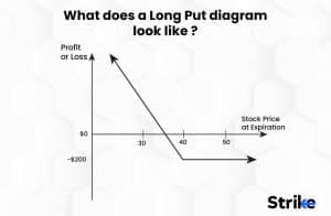 Long Put: Definition, How It Works, Importance, and Trading