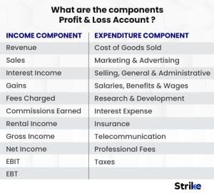 Profit & Loss (P/L) Statement: Definition, Types, Components, Uses, Example