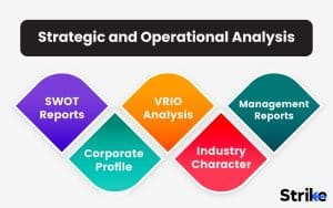 Company Analysis: Definition, Importance, How to do, Example, Limitations