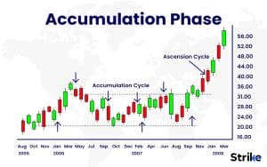 Market Cycles: Definition, Phases, Timings, Example, Uses