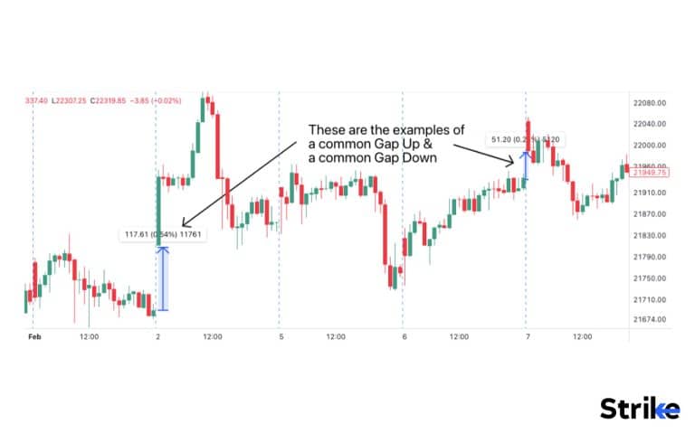 Gaps: Definition, Importance, Types, Causes and Examples