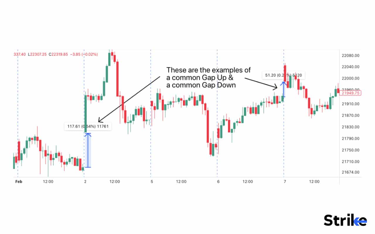 Gaps: Definition, Importance, Types, Causes and Examples