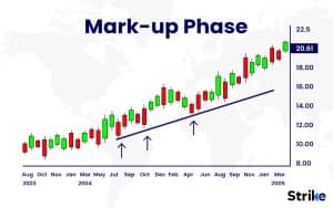 Market Cycles: Definition, Phases, Timings, Example, Uses