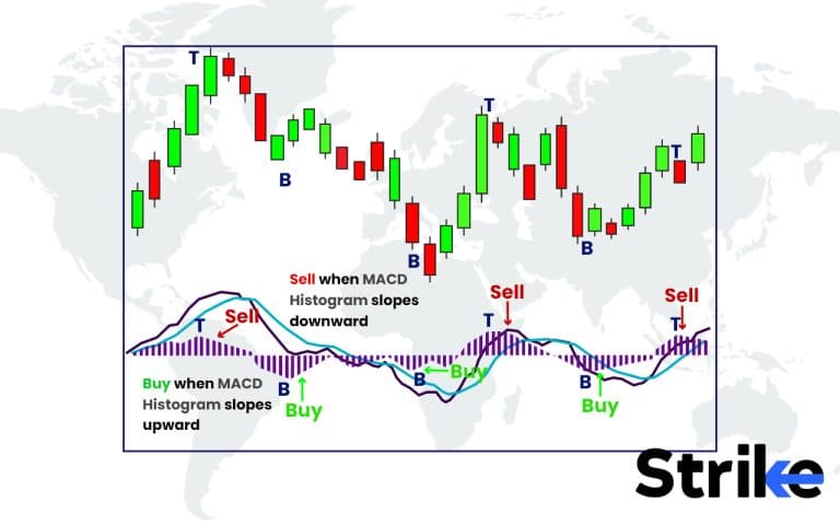 Oscillators: Uses, Types, Trading Guide, Advance Uses, Example