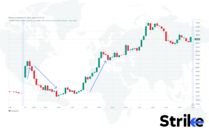 Call Option vs Put Option: What are the Differences Between Them?