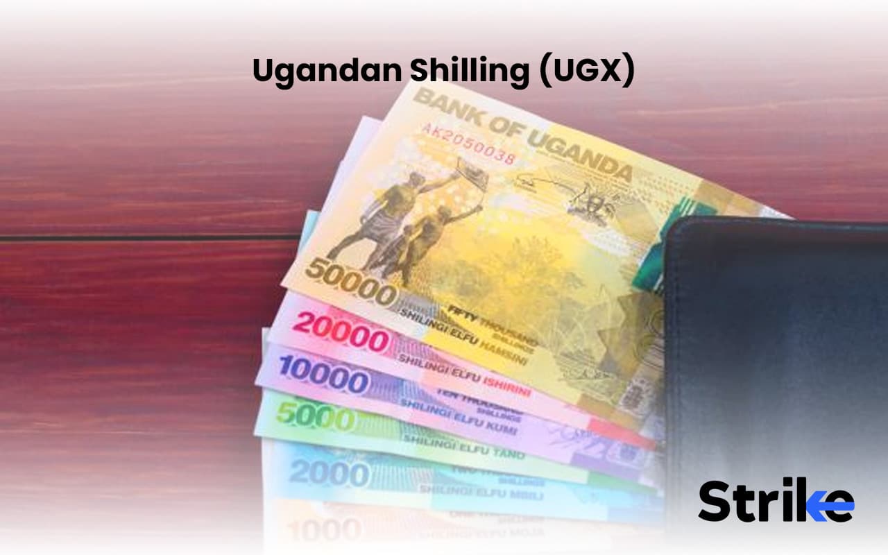 30 Weakest Currencies In The World Ranked in 2026